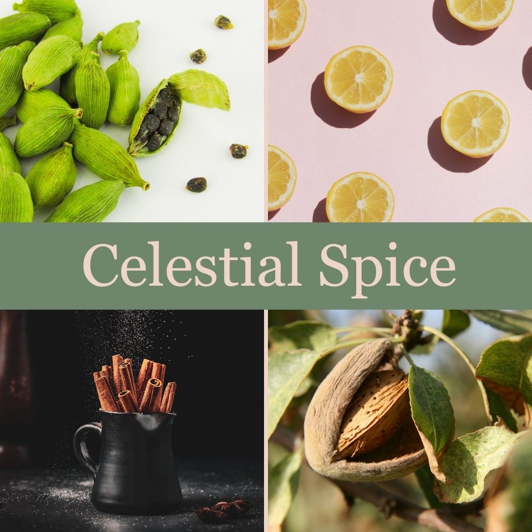Celestial Spice – Amberya
